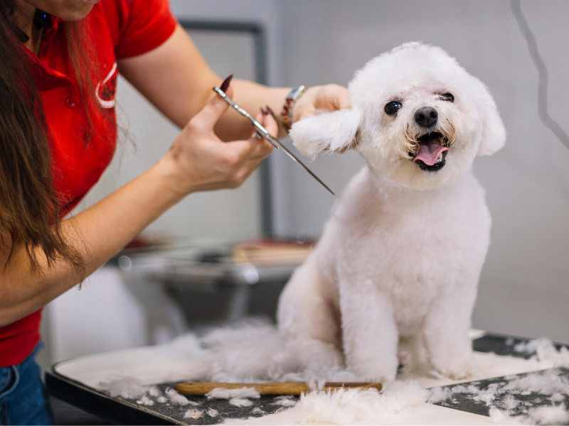 Grooming - Pittsburg, TX - Texas Country Farm Supply